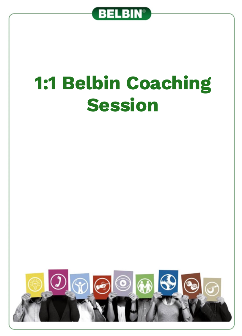 1:1 Belbin Coaching Session – Belbin North America