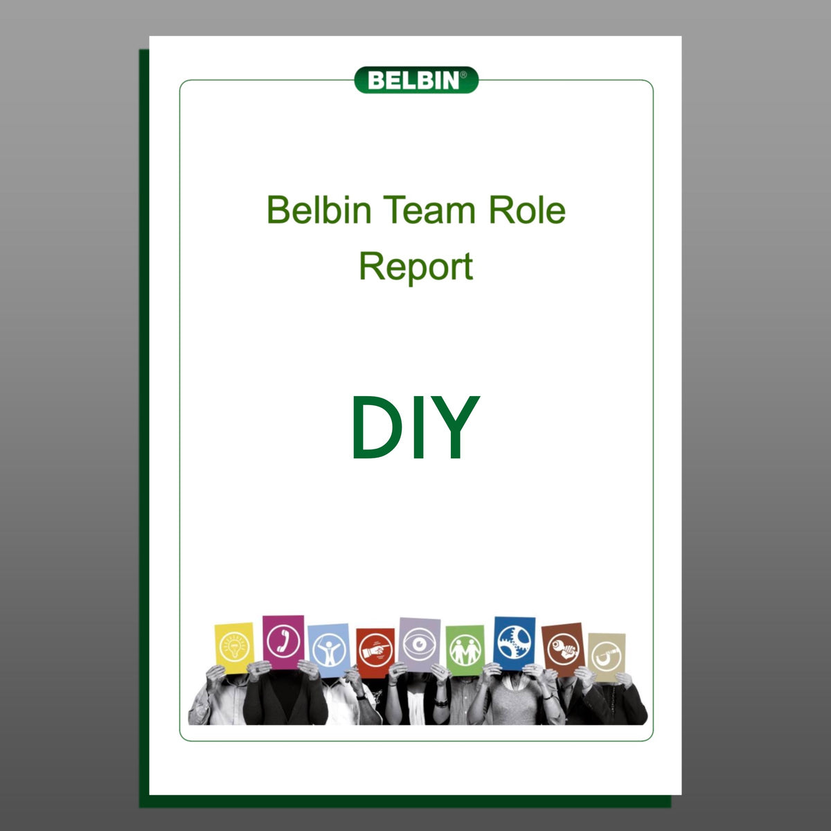 Individual Belbin Report – Interplace 7 (DIY) – Belbin North America
