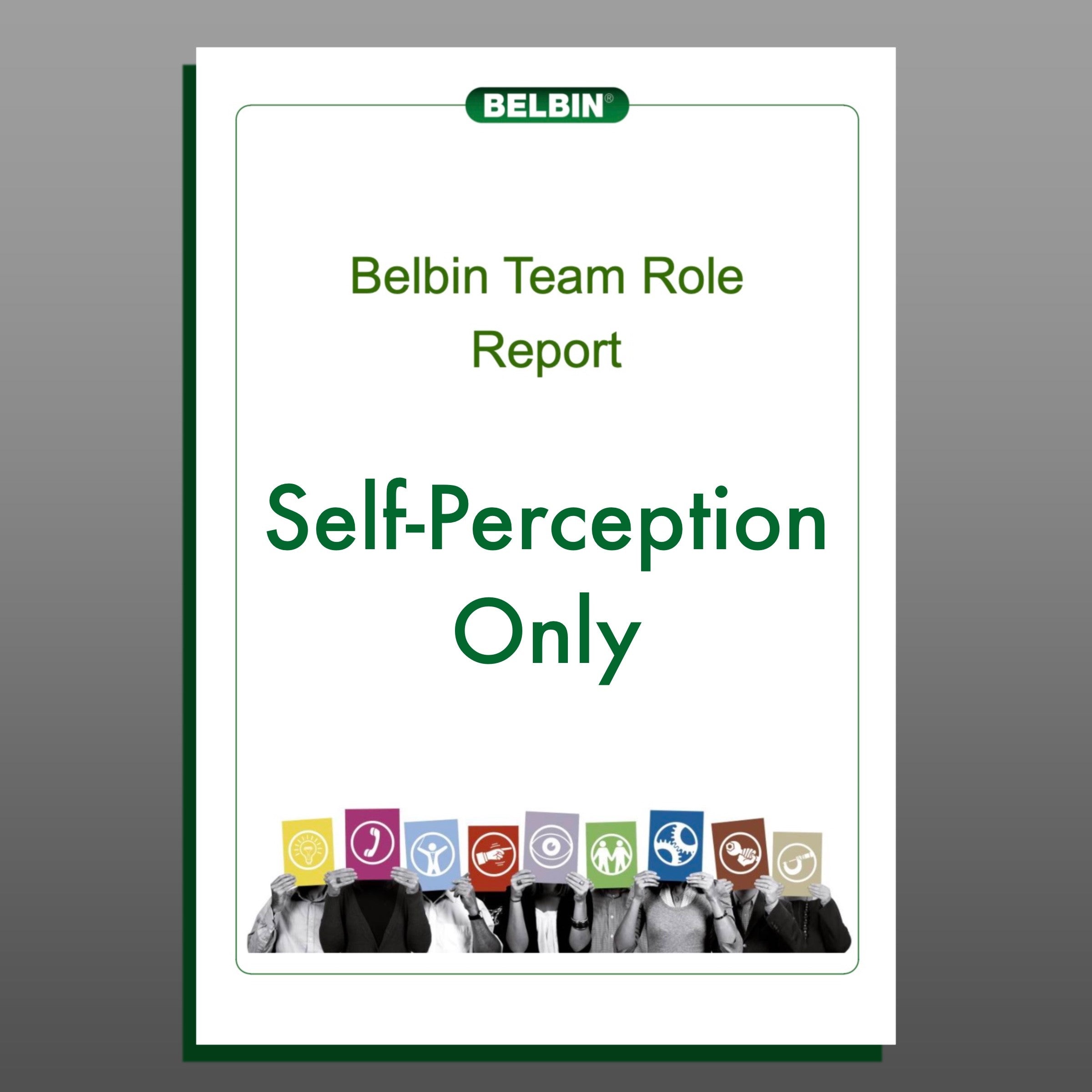 Individual Belbin Report – Self-Perception Only Interplace 7 (DIY ...