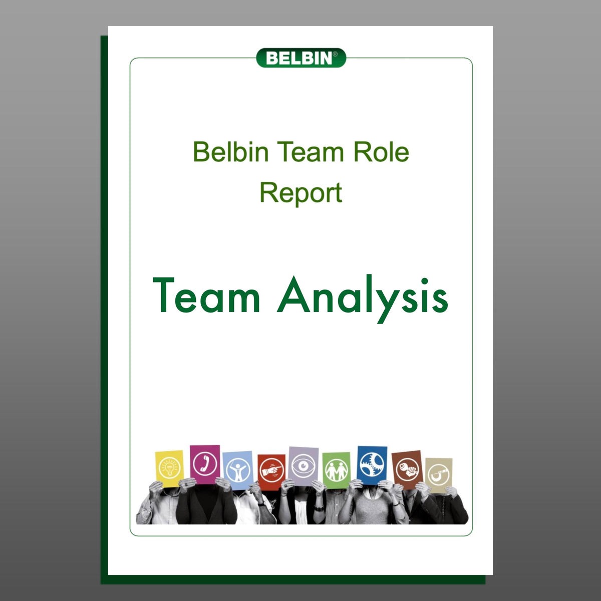 Belbin Team Analysis (For groups of 3 to 15 people) – Belbin North America